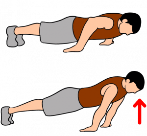 Entrenar pecho en casa - Rutinas y ejercicios - Victorian Eagle
