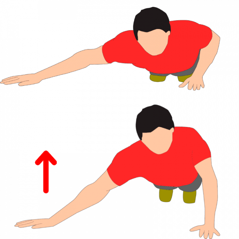 Entrenar pecho en casa - Rutinas y ejercicios - Victorian Eagle